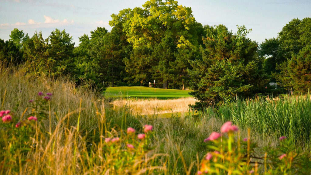 Taylor Golf – Taylor, MI – Taylor Made For You